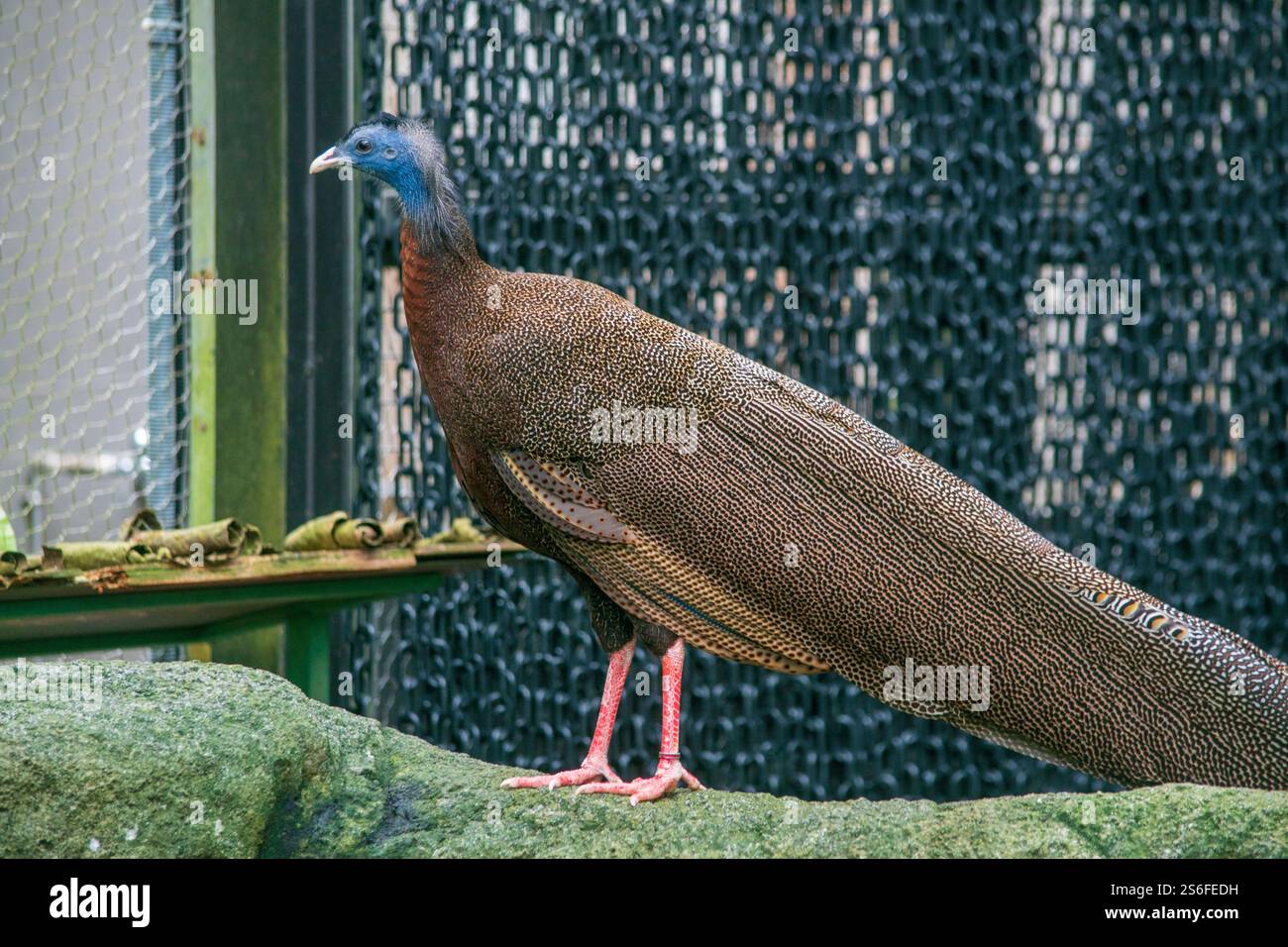 The Taipei Zoo in Taiwan's capital features many different kinds of ...