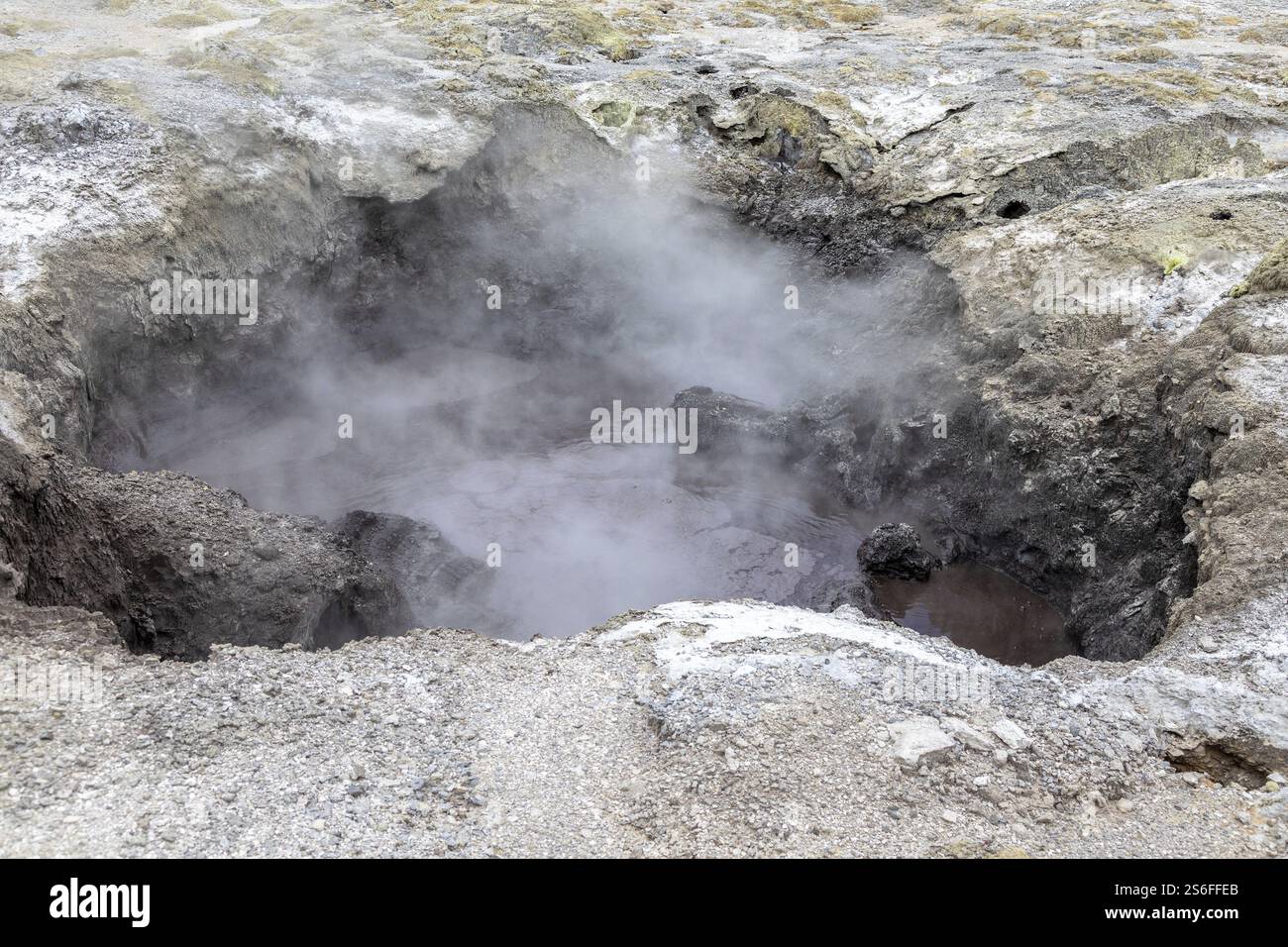 An image of geothermal activity at Rotorua in New Zealand Stock Photo ...