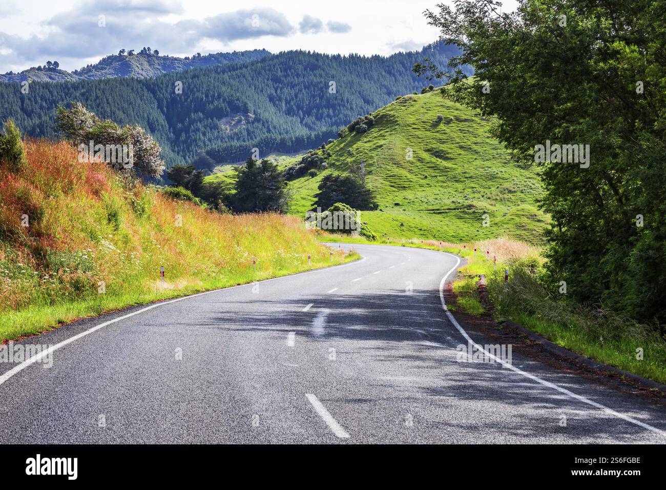 An image of a winding road in New Zealand Stock Photo - Alamy