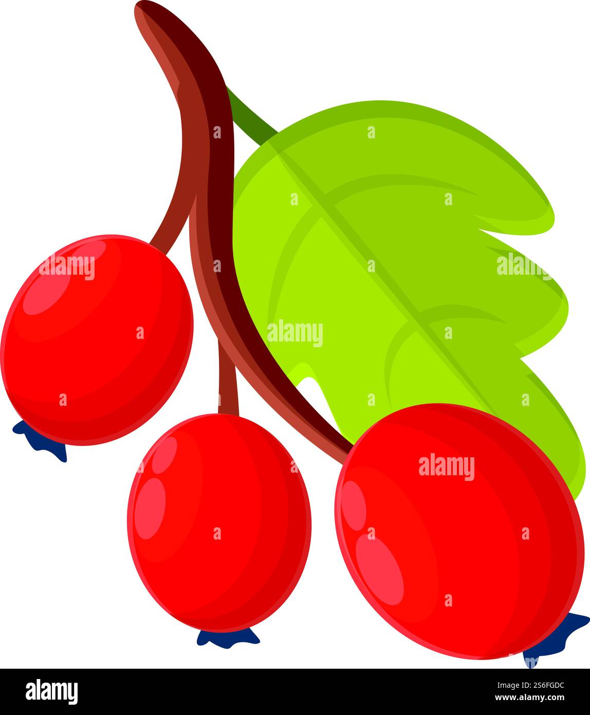 Hawthorn plant icon. Cartoon of hawthorn plant vector icon for web ...