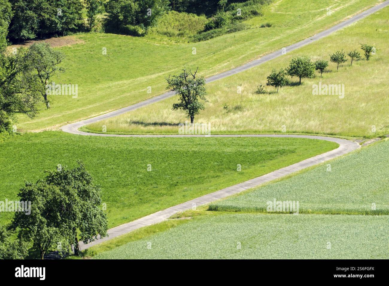 An image of a winding path in the green Stock Photo - Alamy