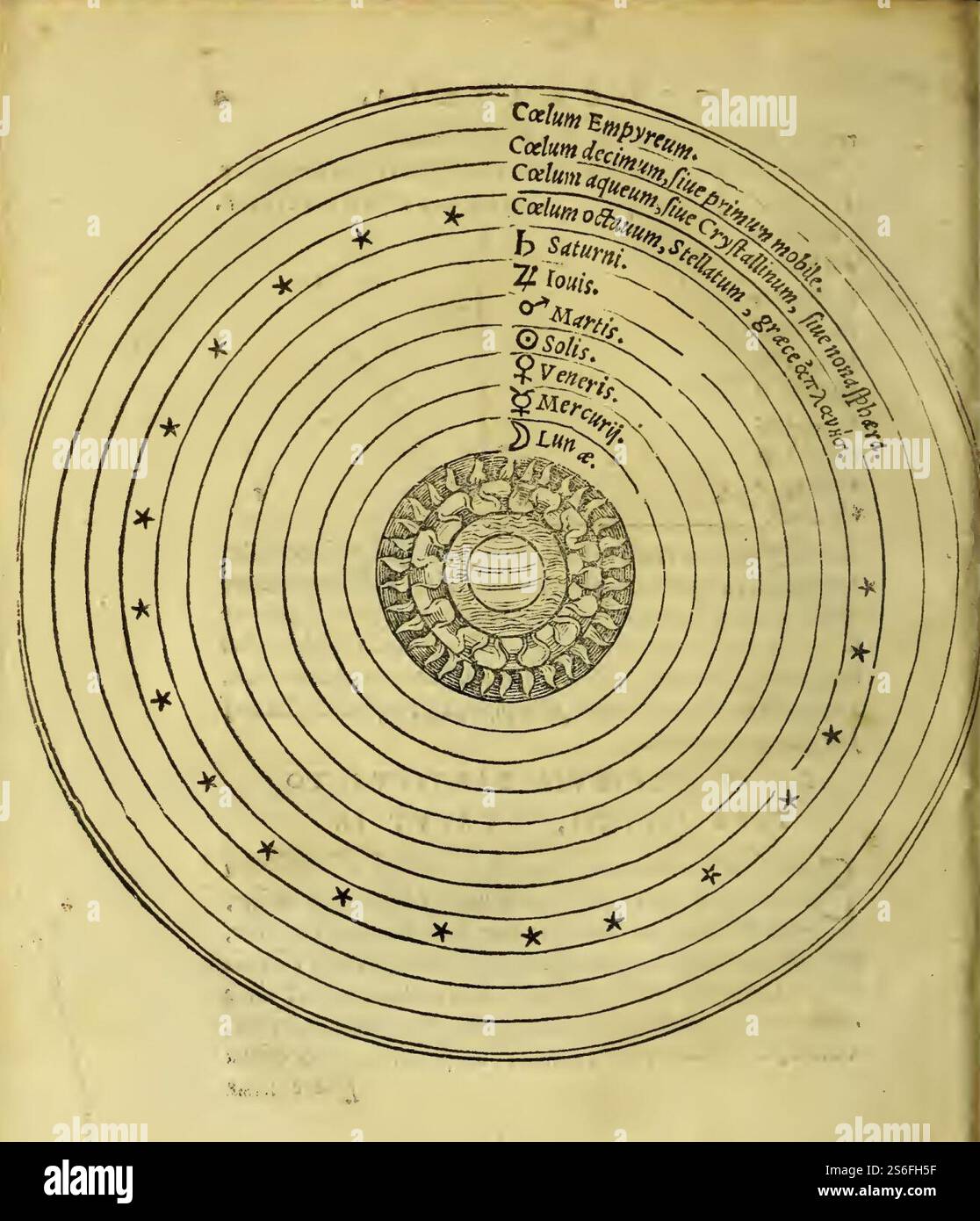 Glareanus hi-res stock photography and images - Alamy
