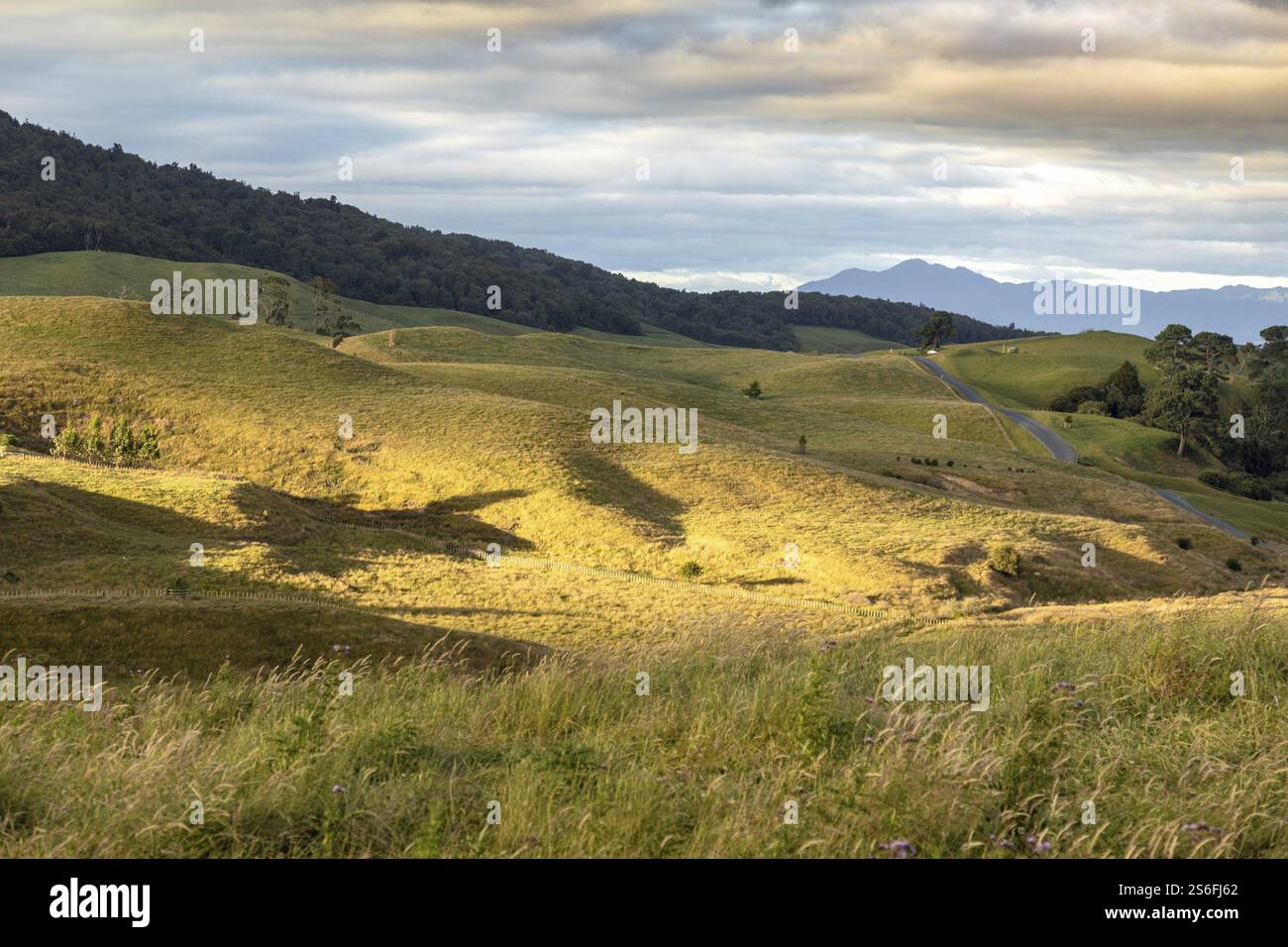 An image of a typical rural landscape in New Zealand Stock Photo - Alamy