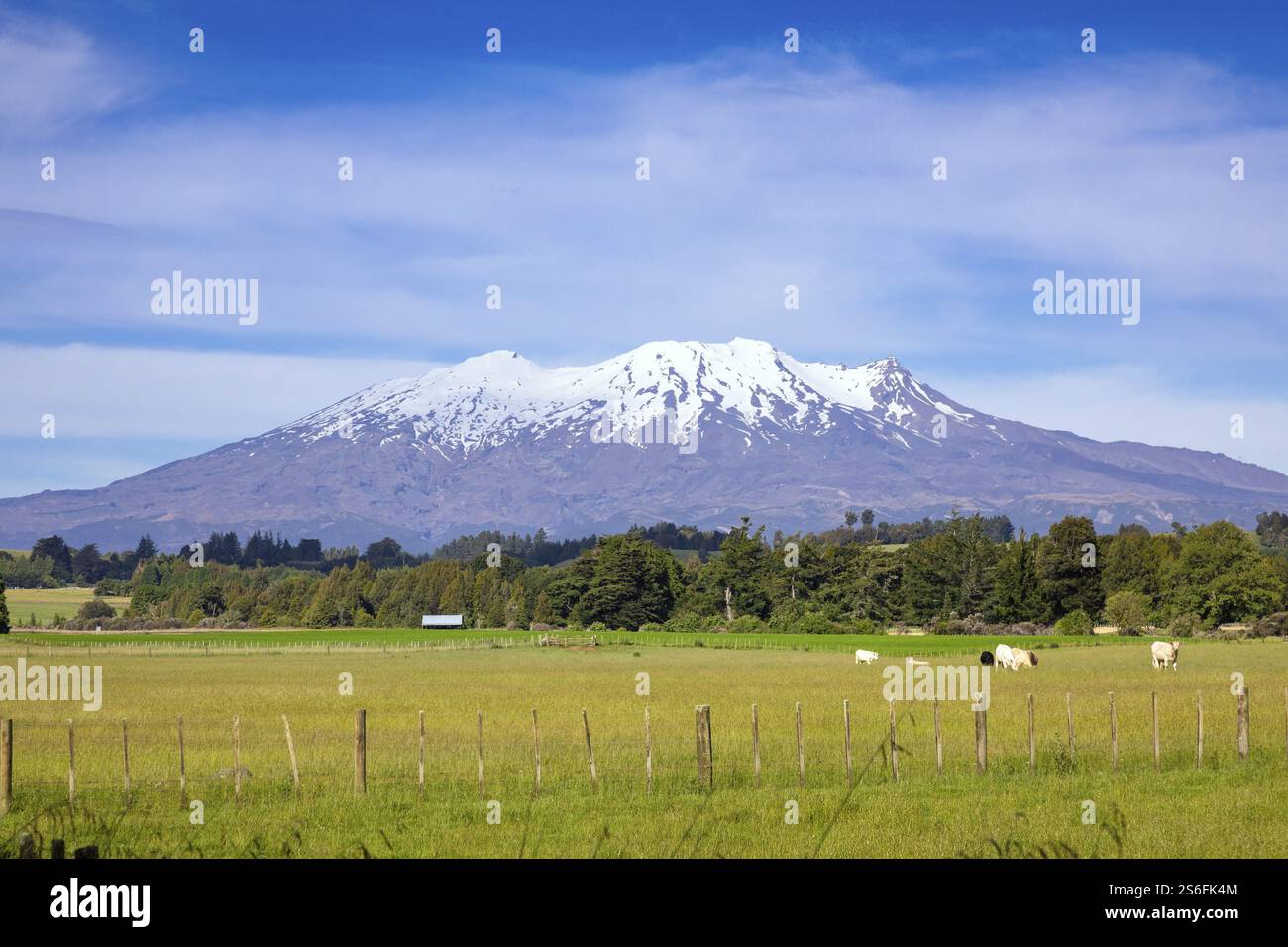 An image of a Mount Ruapehu volcano in New Zealand Stock Photo - Alamy