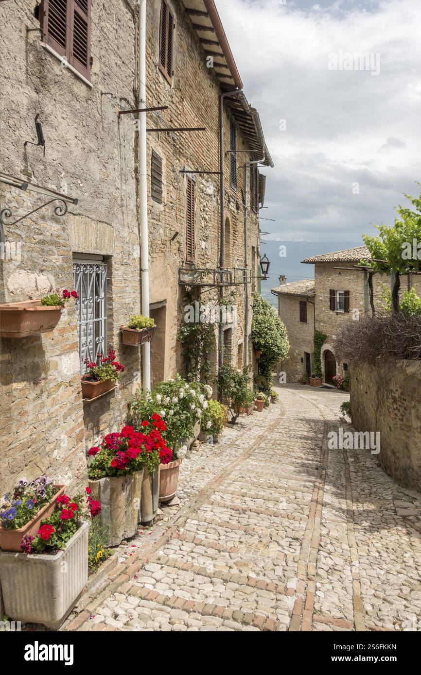 An image of a typical italian city street Stock Photo - Alamy