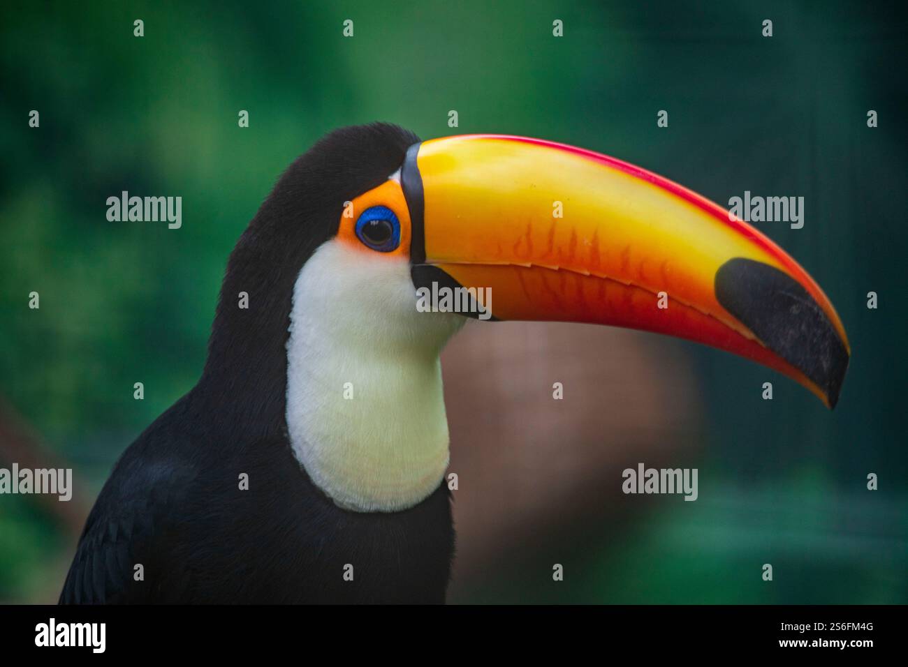 The Taipei Zoo in Taiwan's capital features many different kinds of ...