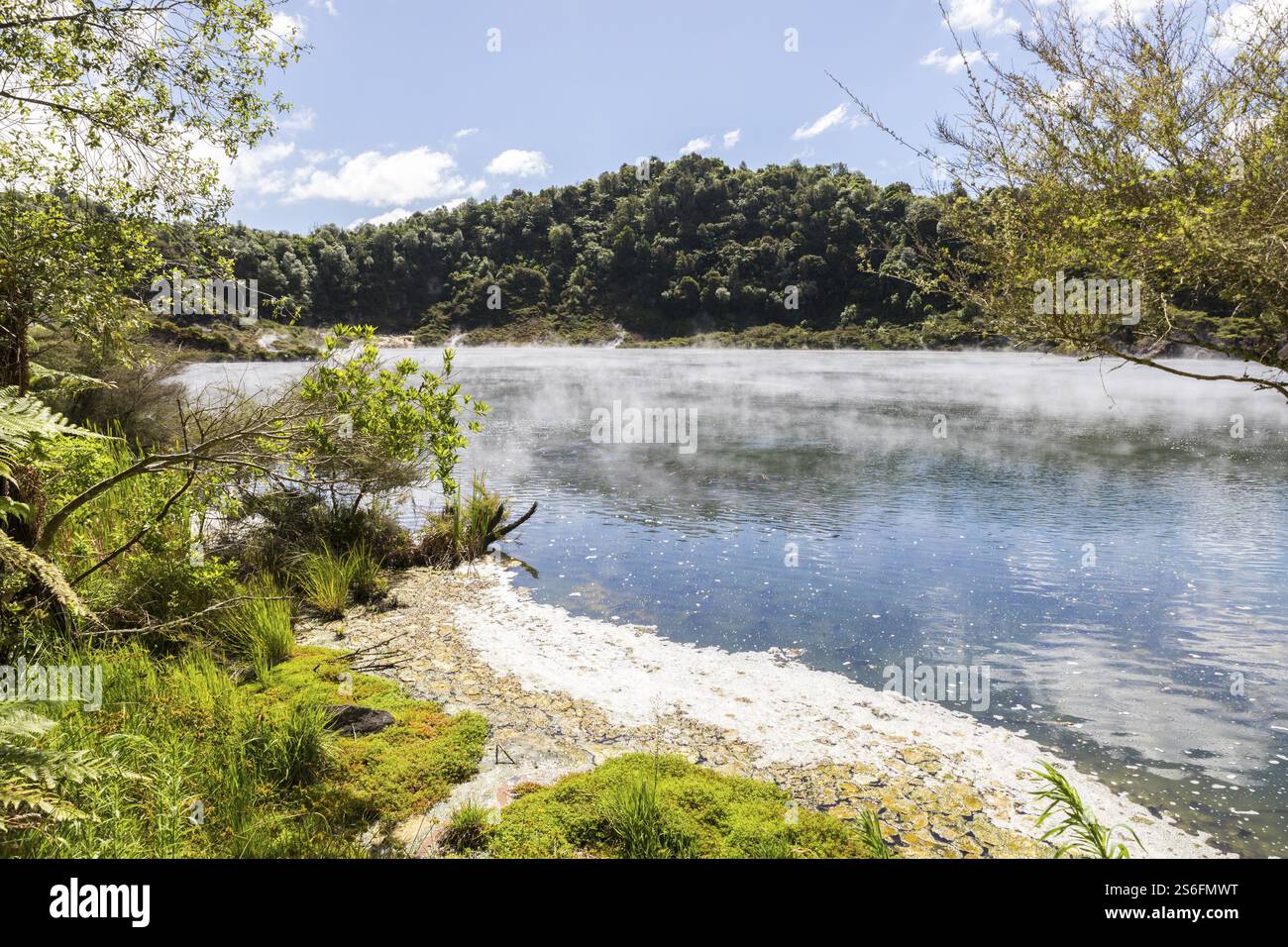 An image of a volcanic lake at waimangu new zealand Stock Photo - Alamy