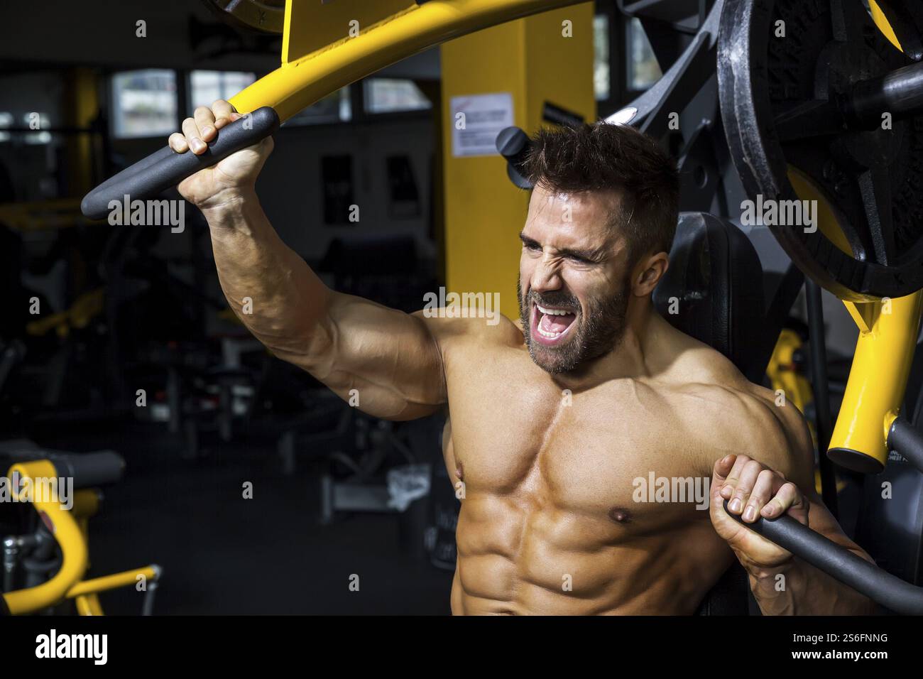 An image of a handsome bearded bodybuilding man doing chest workout ...