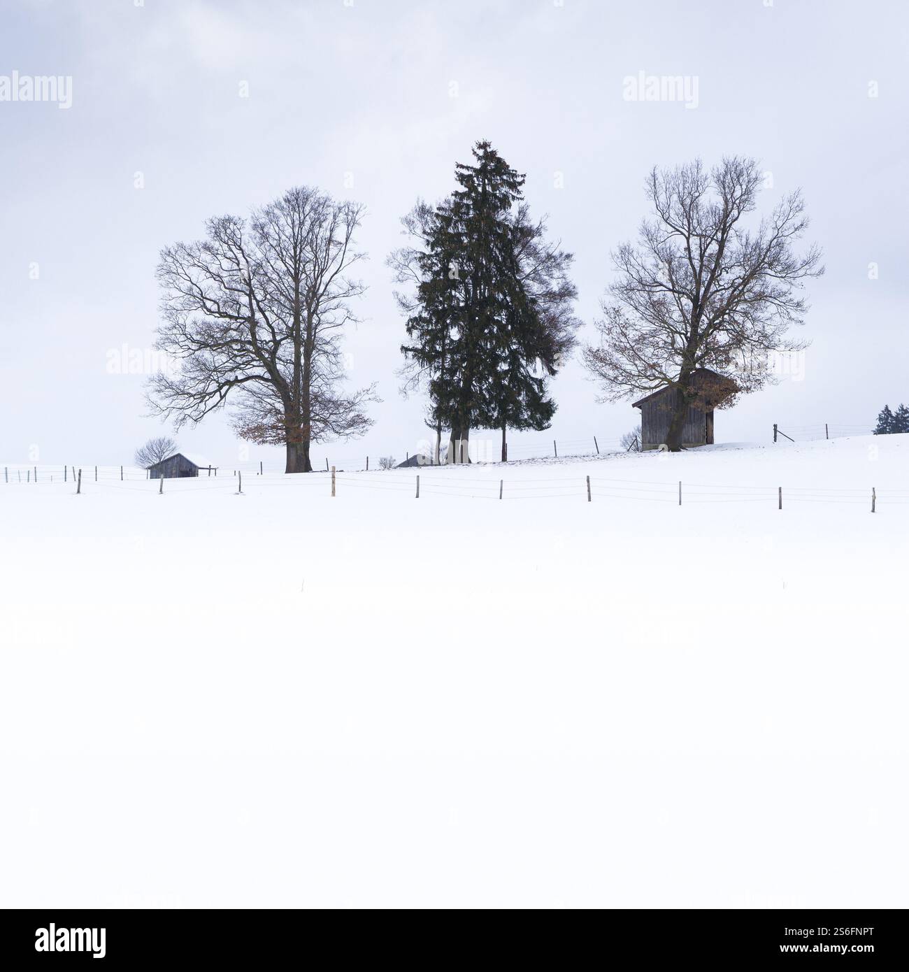 Three german landscapes hi-res stock photography and images - Alamy