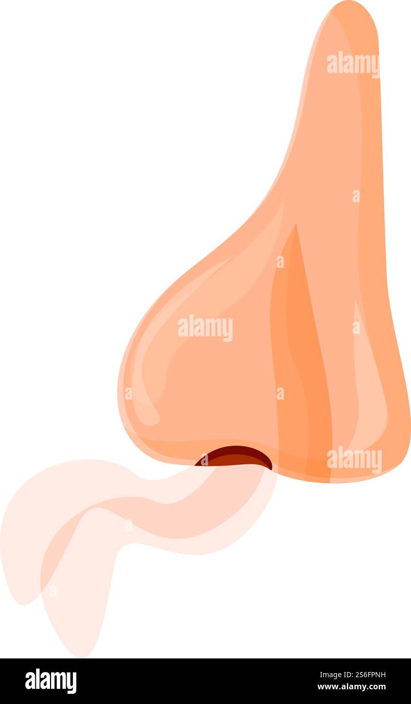 Smell nose icon. Cartoon of smell nose vector icon for web design ...