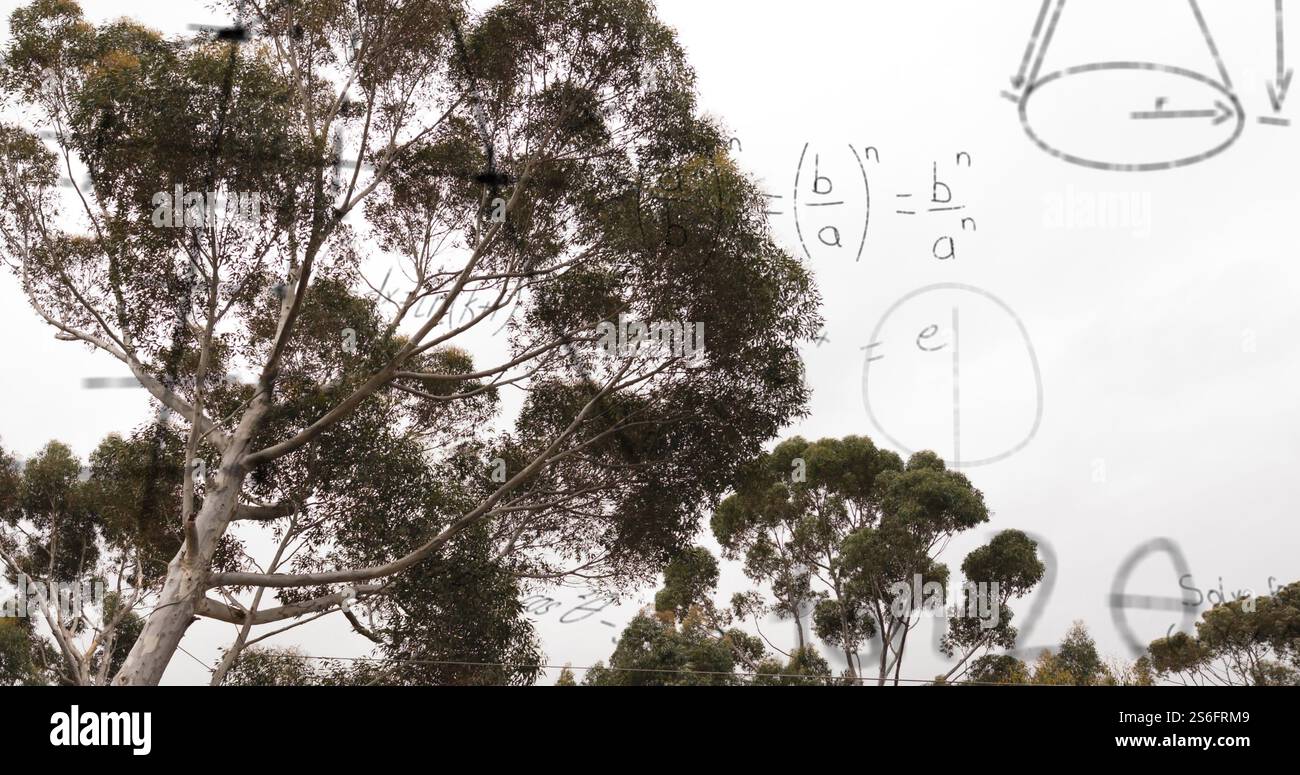 Image of layers of mathematical formulae and equations over trees and ...