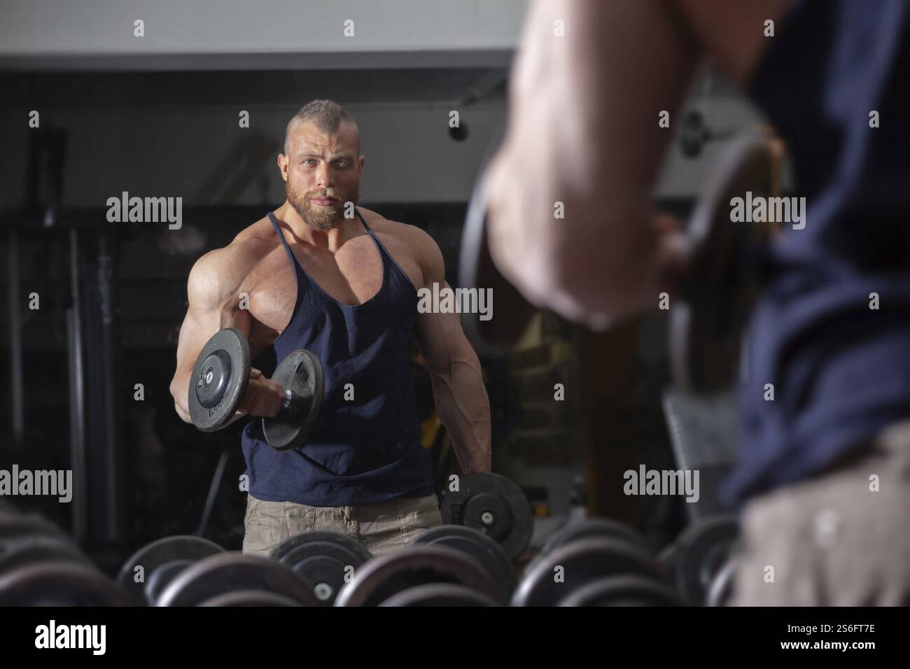 An image of a strong male bodybuilder Stock Photo - Alamy