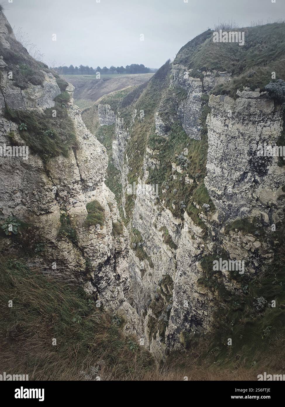 A deep, narrow gorge with steep, rocky cliffs covered in patches of ...