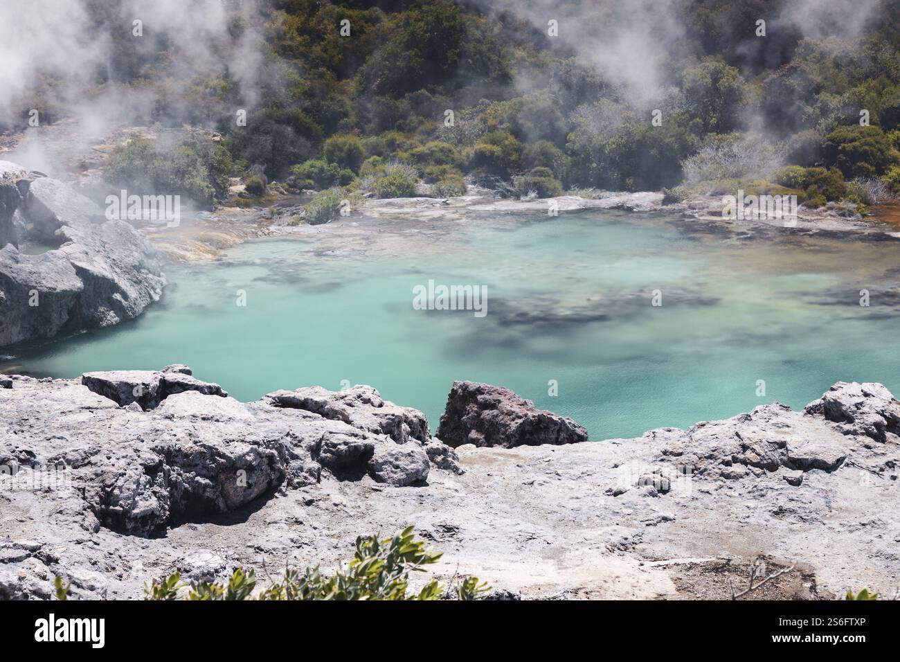 An image of a volcanic lake at waimangu new zealand Stock Photo - Alamy