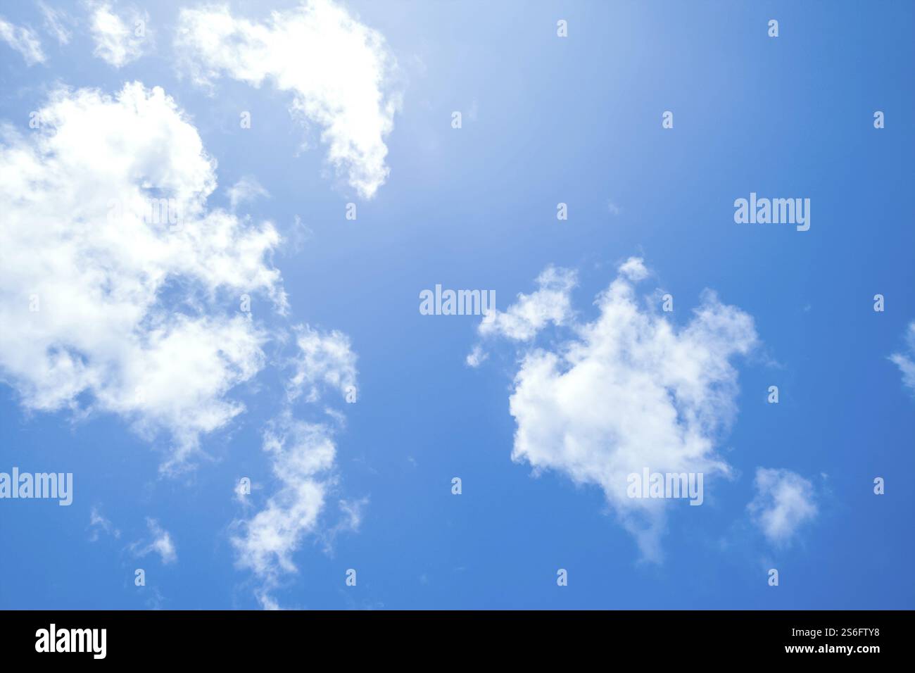 Exceptionally bright hi-res stock photography and images - Alamy