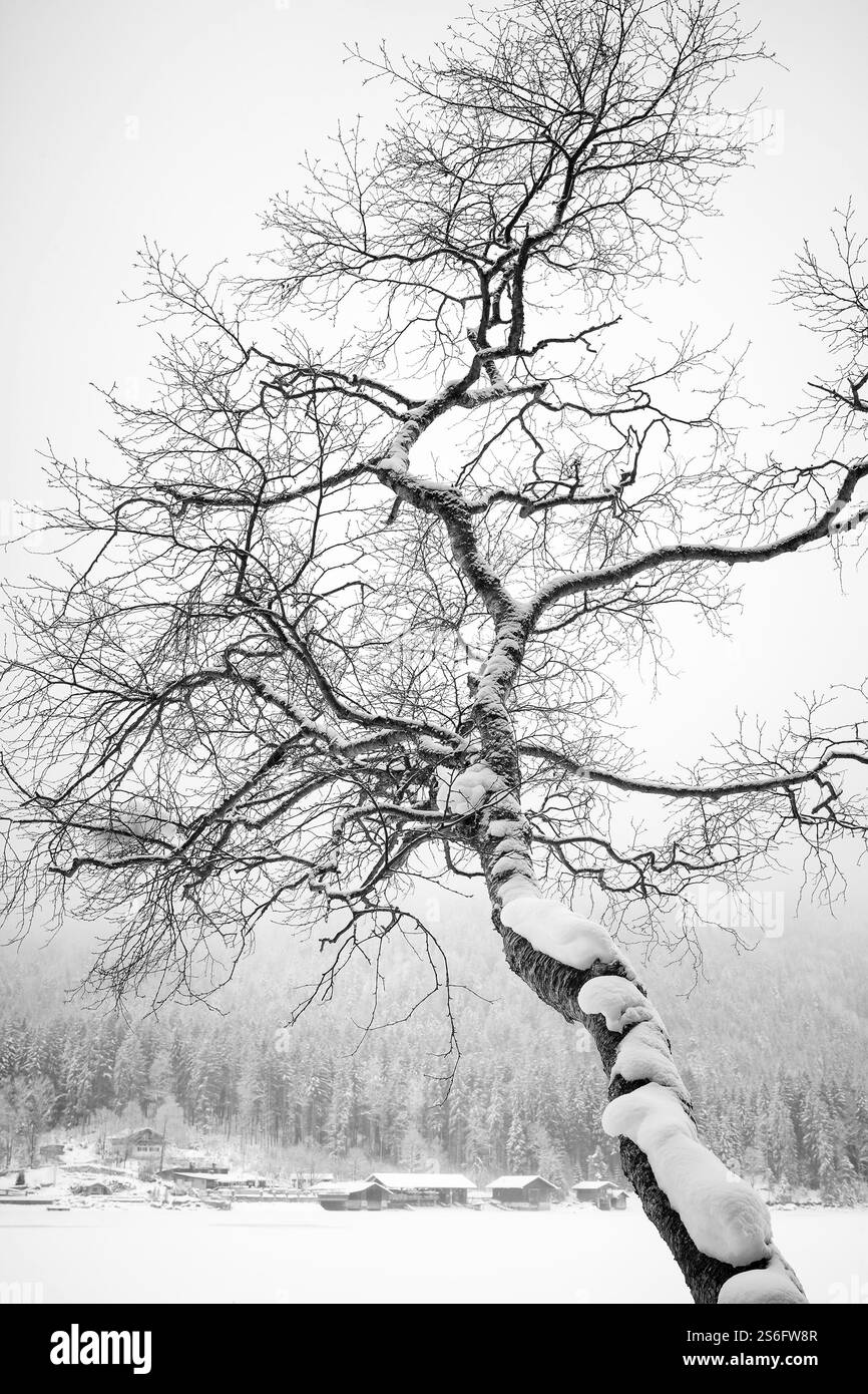 Nice image background in Black and White Stock Photos & Images - Alamy