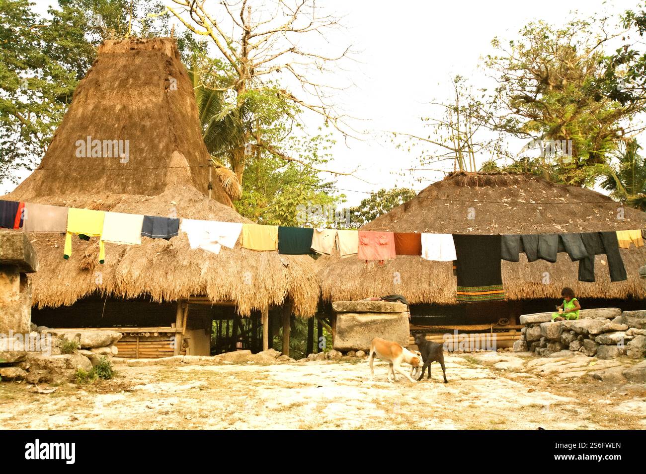 A laundry line in front of traditional houses in traditional village of ...