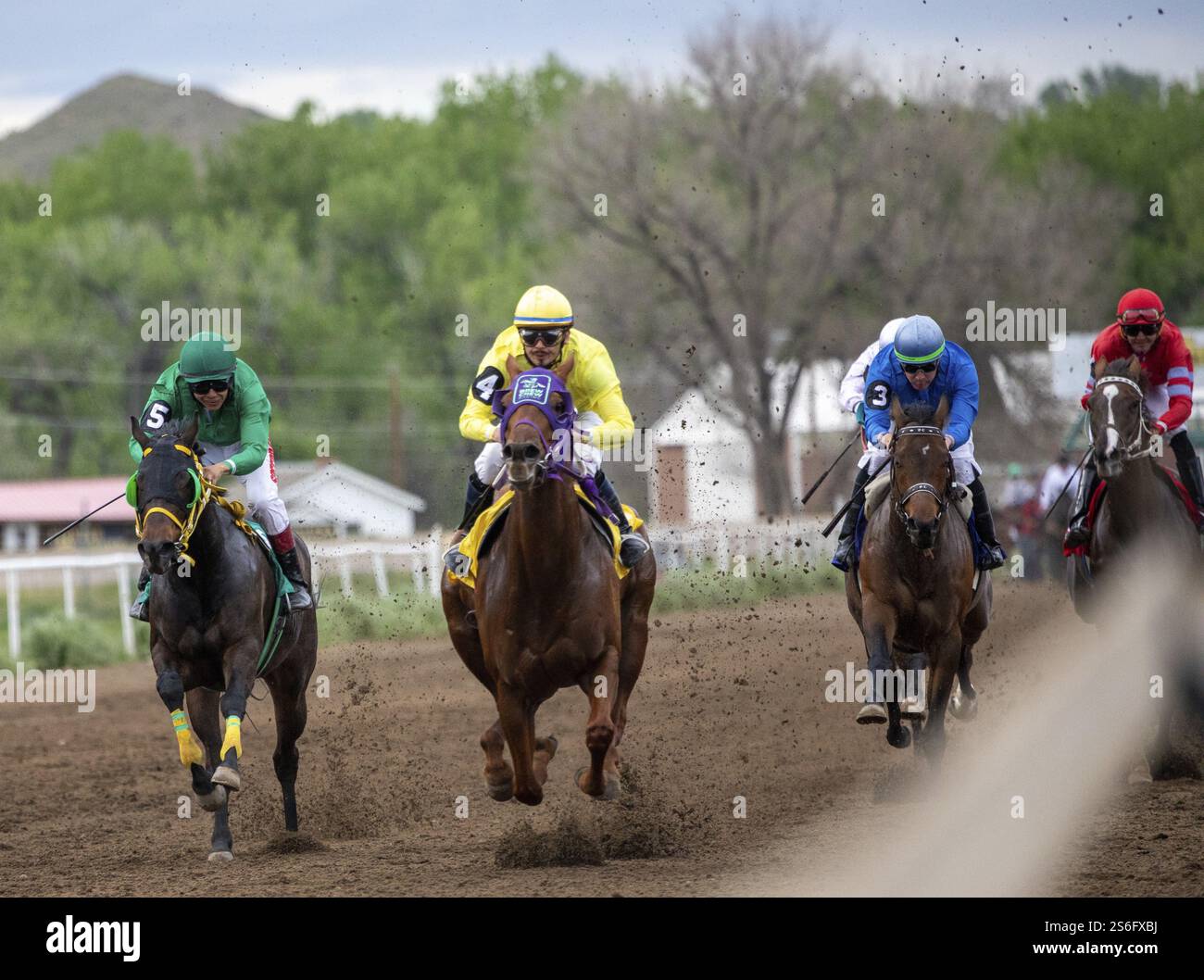 Horse racing at the Bucking Horse Sale, Rodeo, Miles City, Montana, USA ...