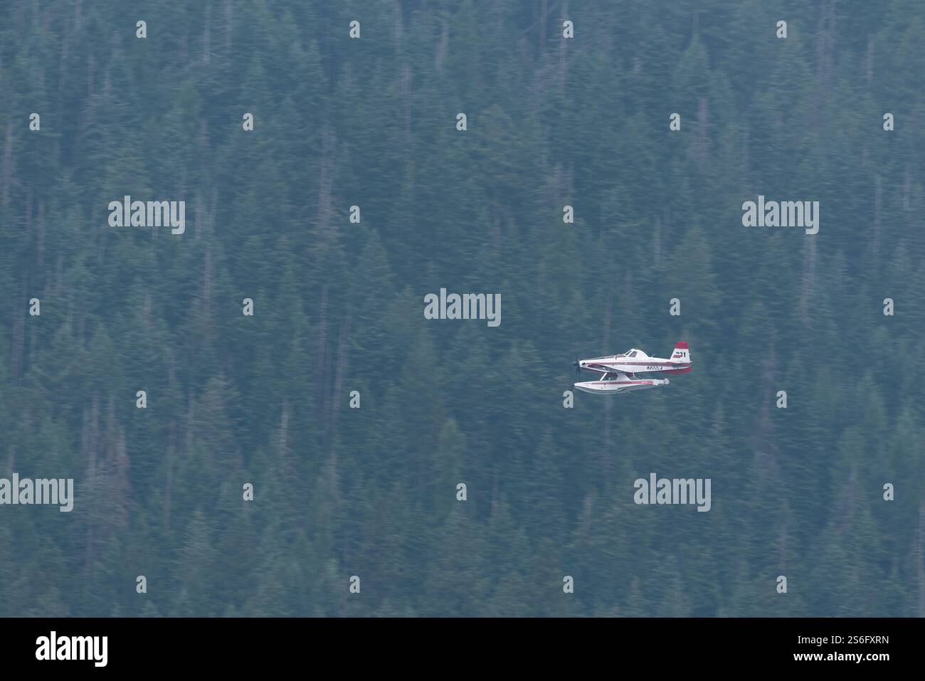 Aerial fire fighting plane descending to scoop water from Wallowa Lake ...
