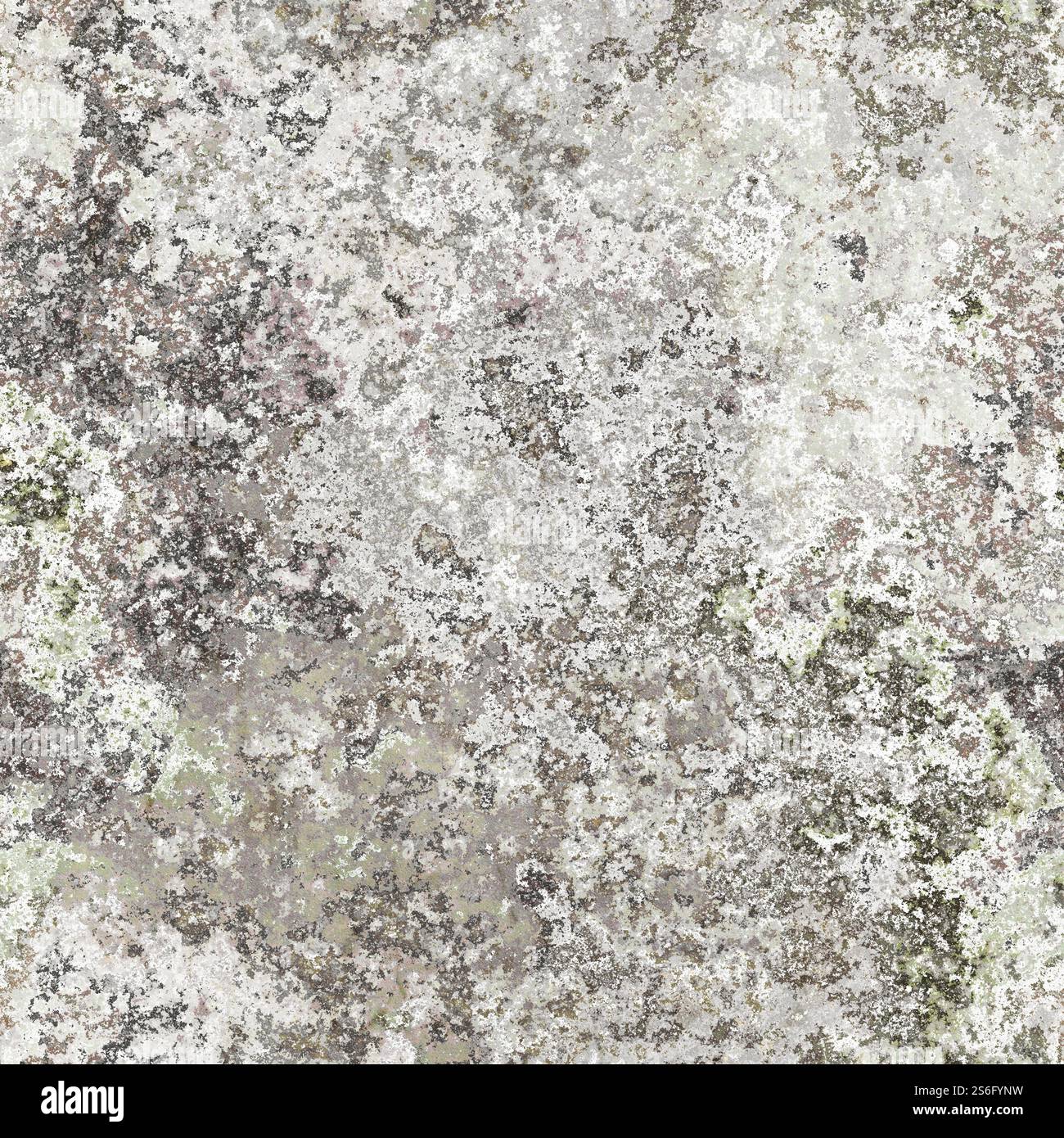 2d illustration of a seamless lichen background Stock Photo - Alamy