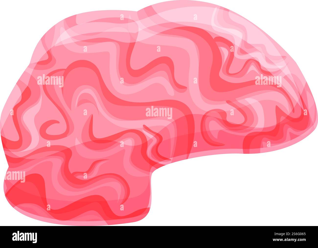 Human brain biology icon. Cartoon of human brain biology vector icon ...