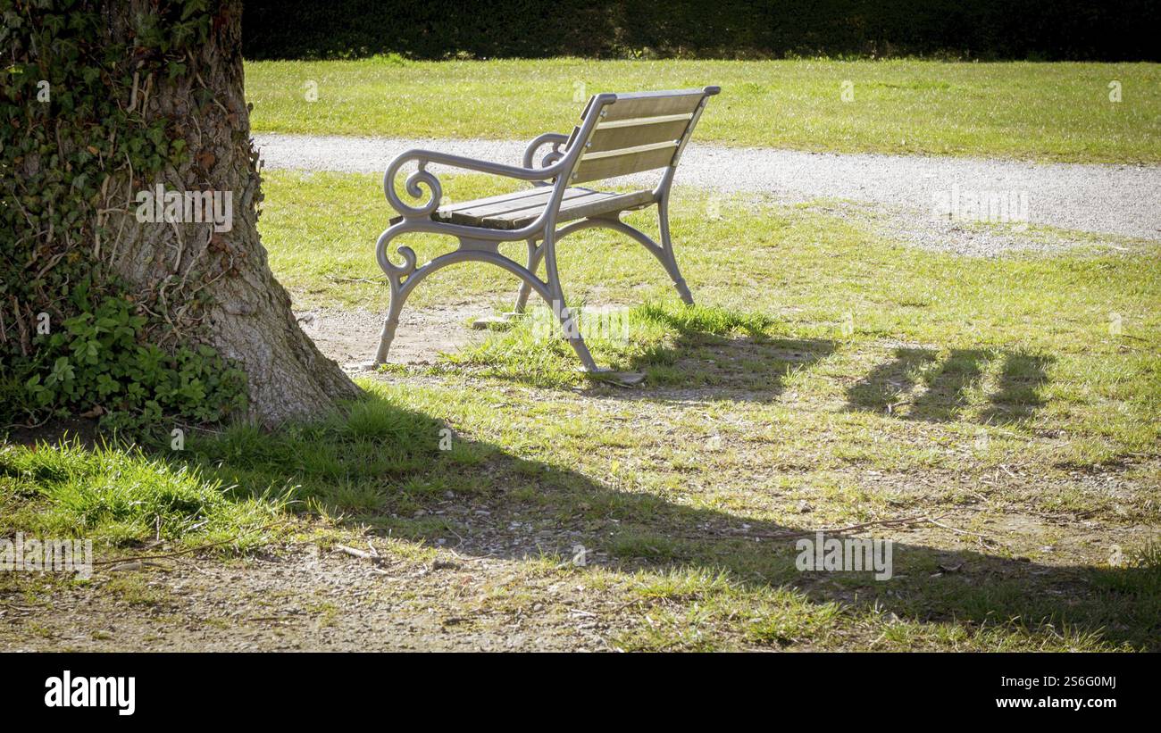 Typical bench in park hi-res stock photography and images - Alamy