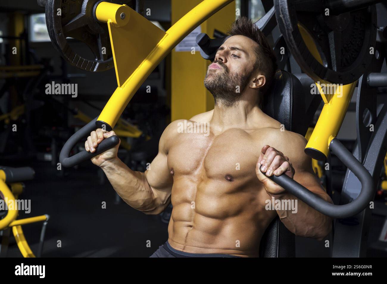 An image of a handsome bearded bodybuilding man doing chest workout ...