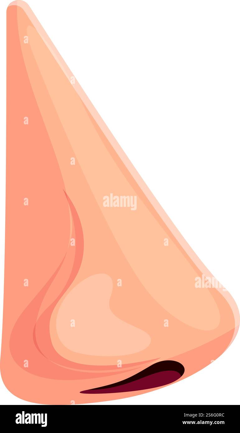 Human body nose icon. Cartoon of human body nose vector icon for web ...