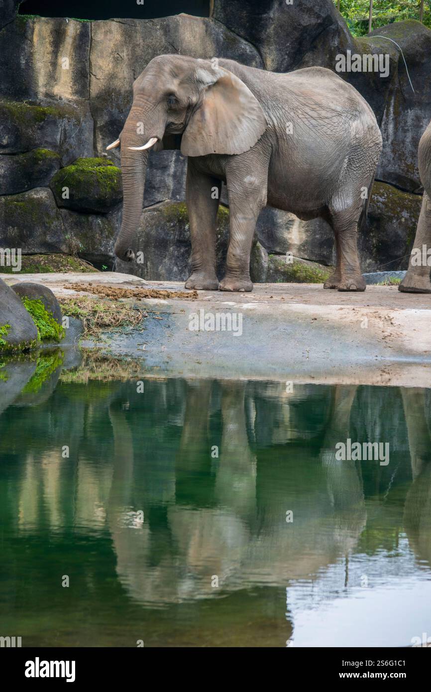 The Taipei Zoo in Taiwan's capital features many different kinds of ...