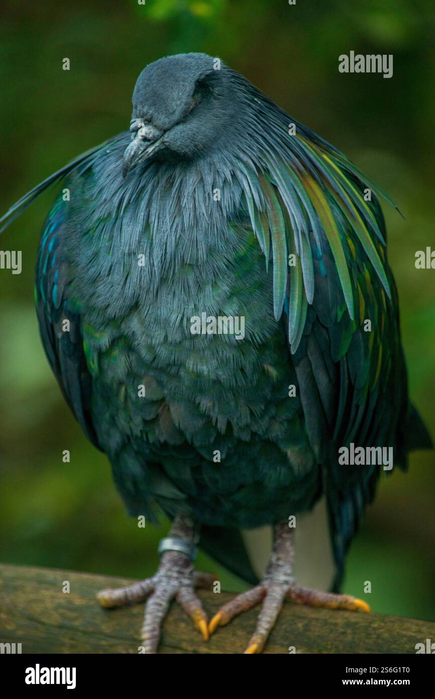 The Taipei Zoo in Taiwan's capital features many different kinds of ...