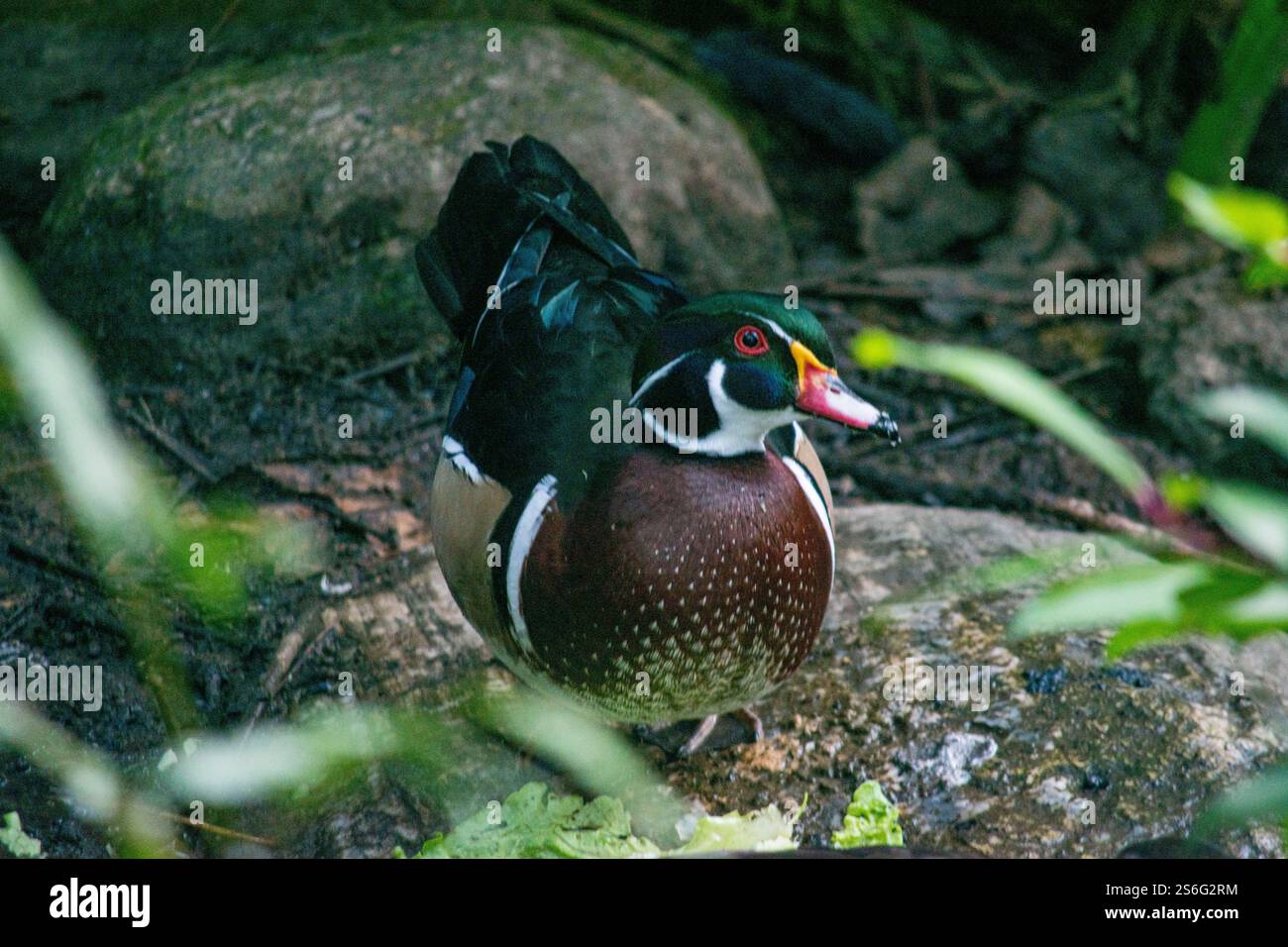 The Taipei Zoo in Taiwan's capital features many different kinds of ...
