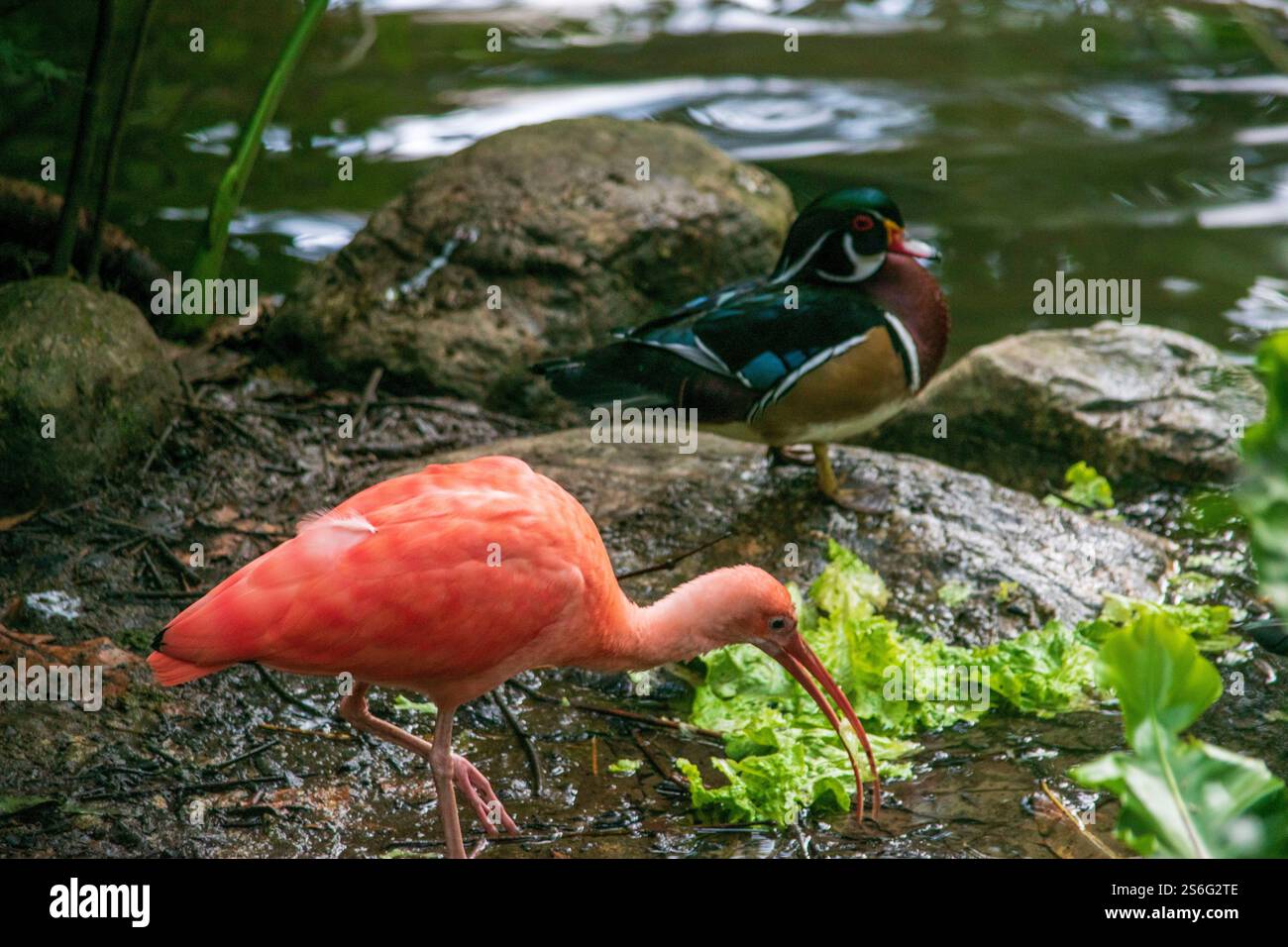 The Taipei Zoo in Taiwan's capital features many different kinds of ...