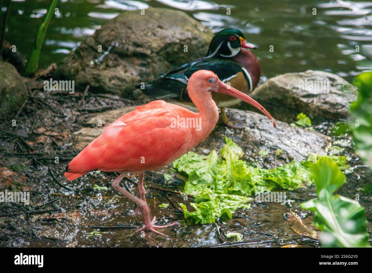 The Taipei Zoo in Taiwan's capital features many different kinds of ...