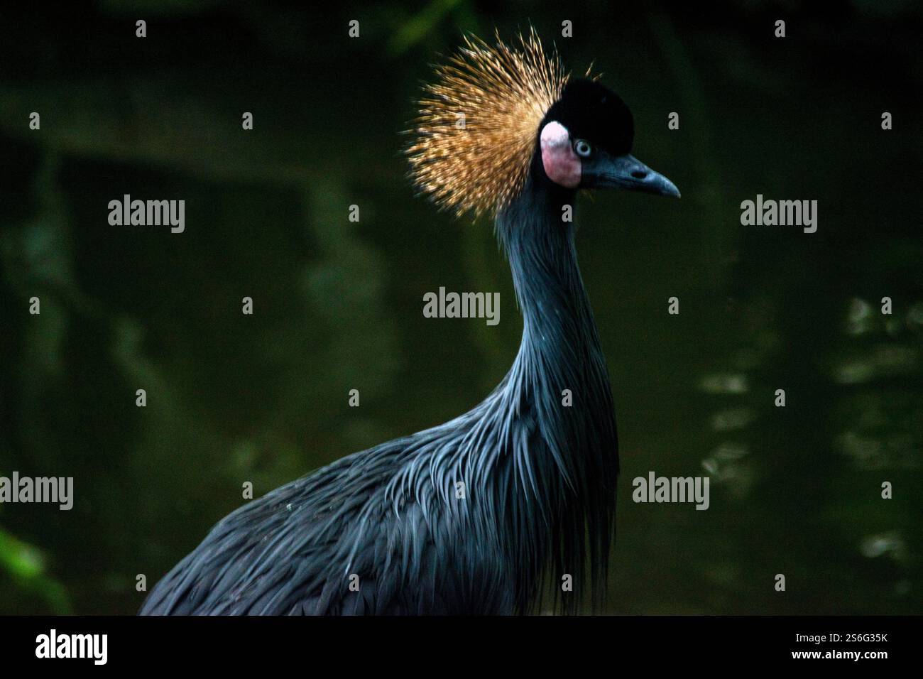 The Taipei Zoo in Taiwan's capital features many different kinds of ...