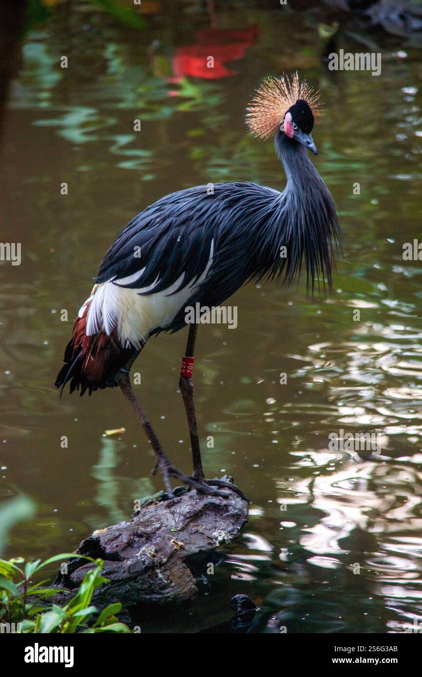 The Taipei Zoo in Taiwan's capital features many different kinds of ...