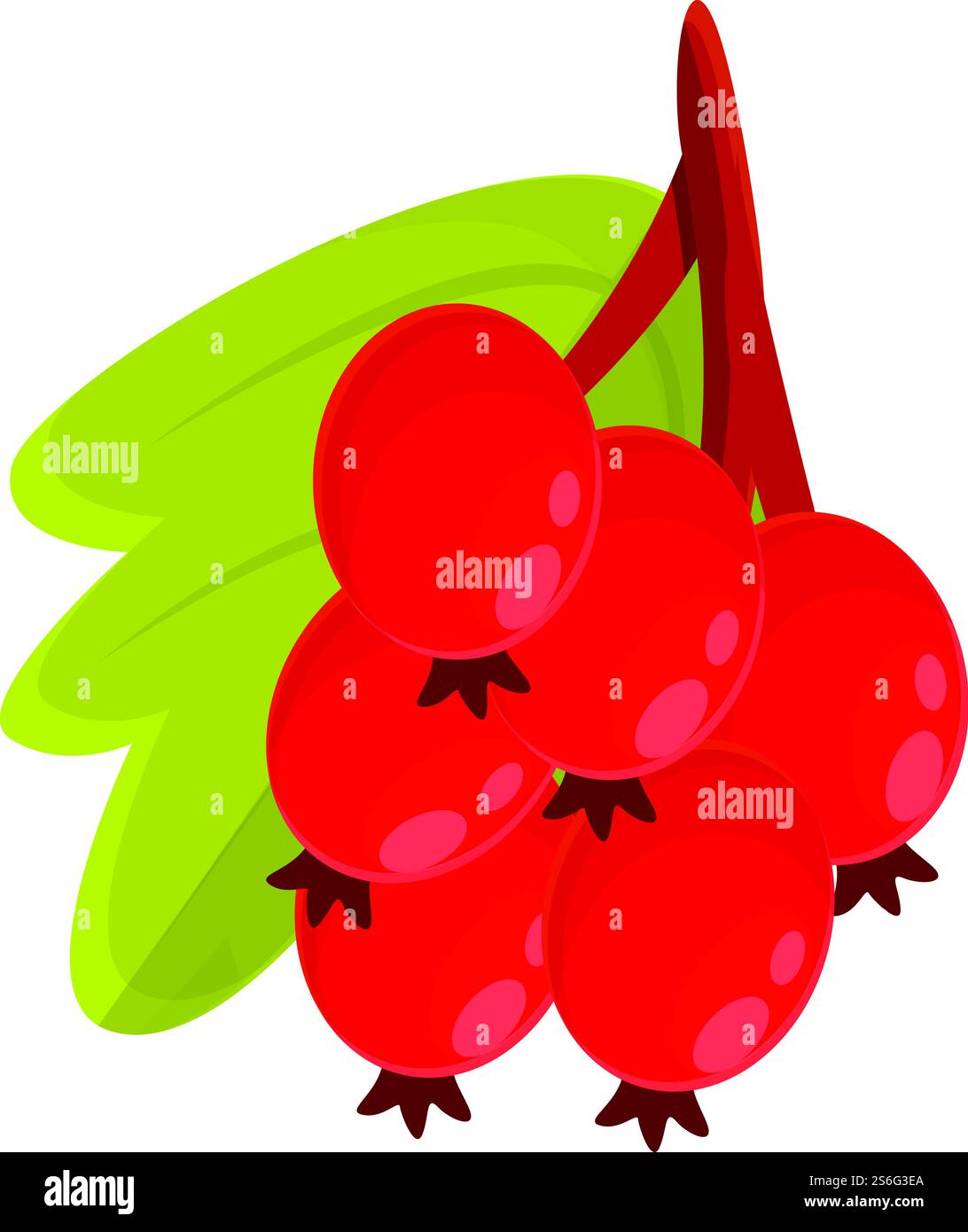 Hawthorn icon. Cartoon of hawthorn vector icon for web design isolated ...