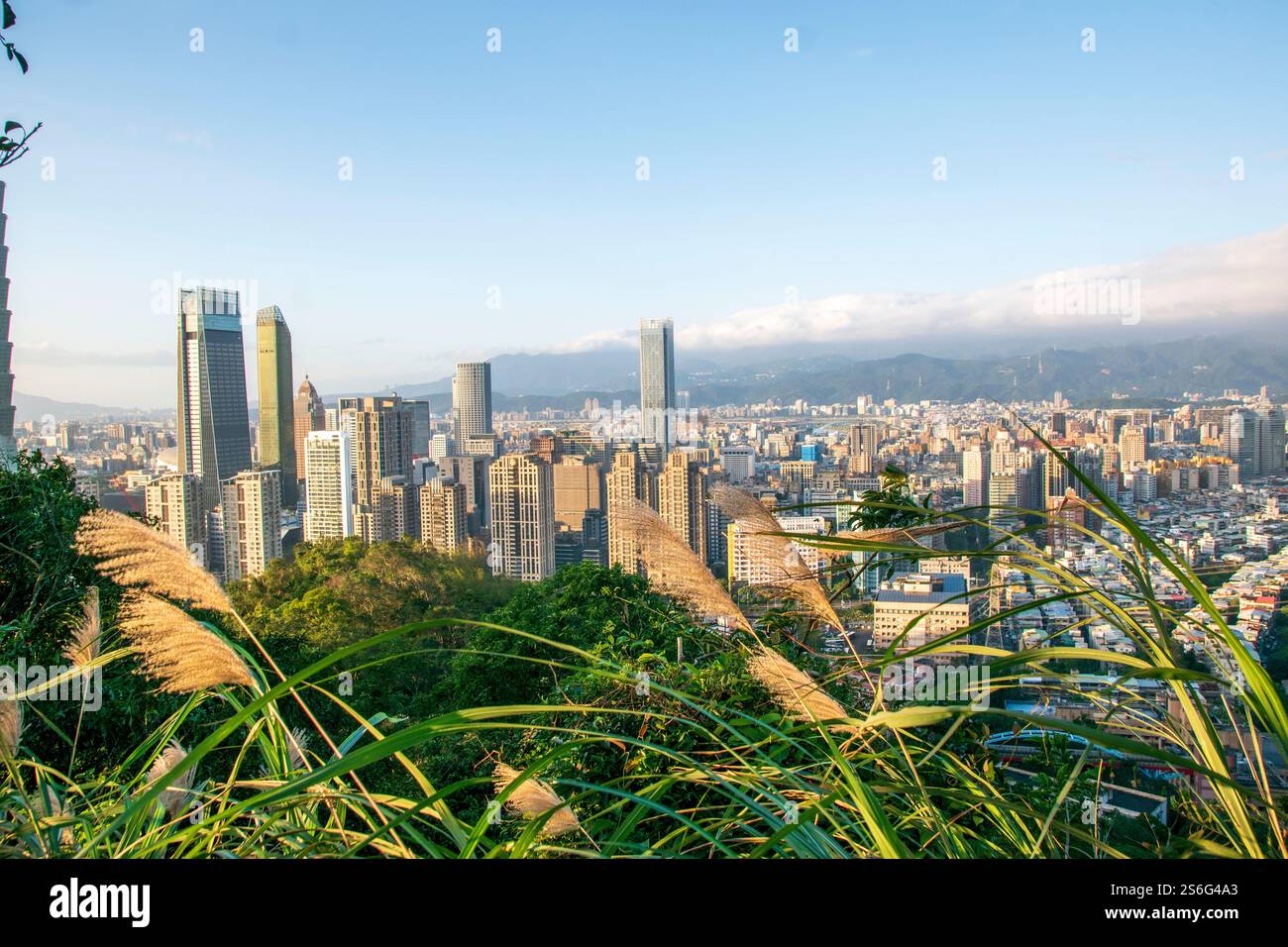 Taipei 101 is one of the many buildings that are perfectly visible in ...
