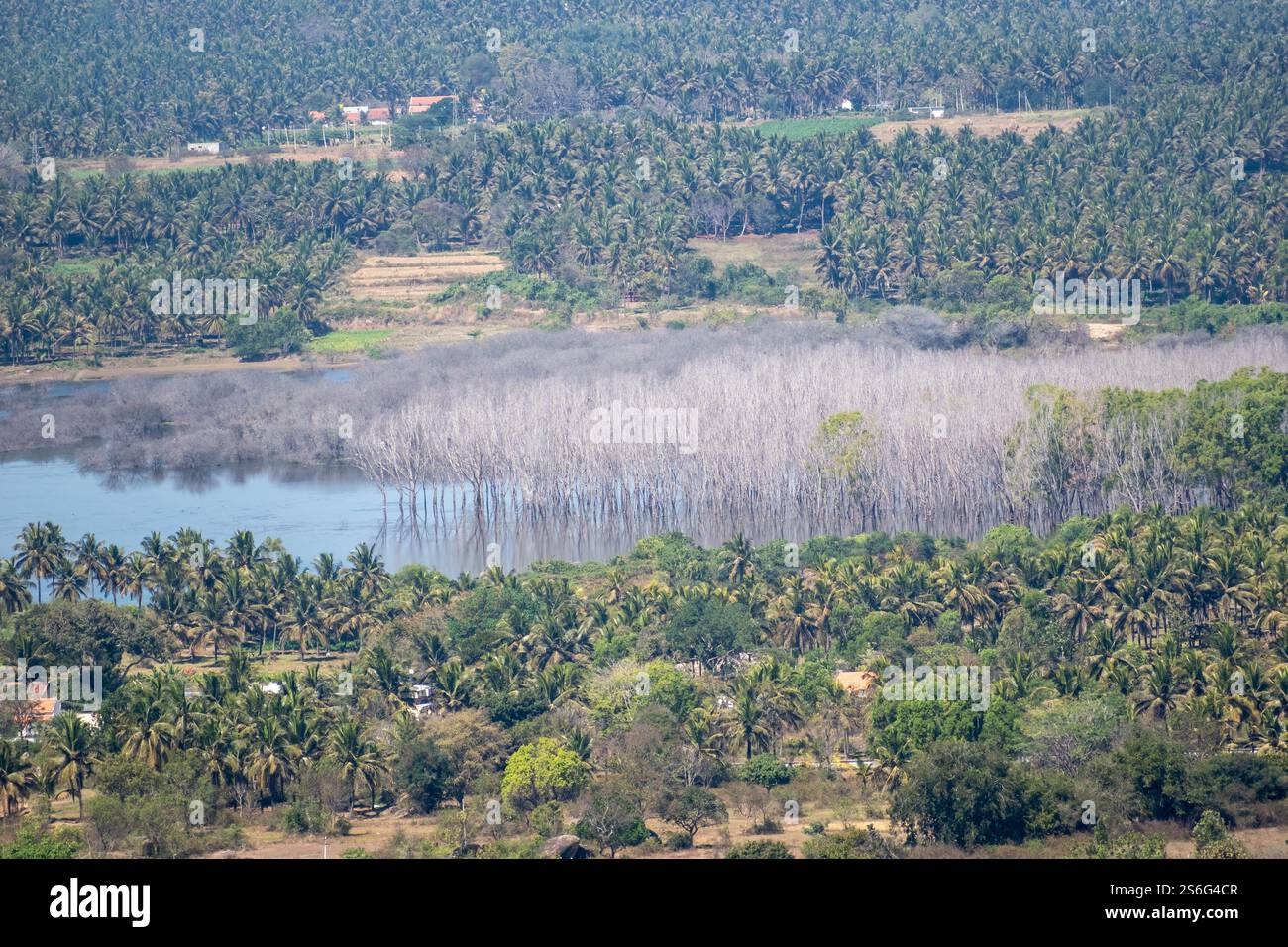 Aerial view of the Janivara lake on the outskirts of Shravanabelagola ...