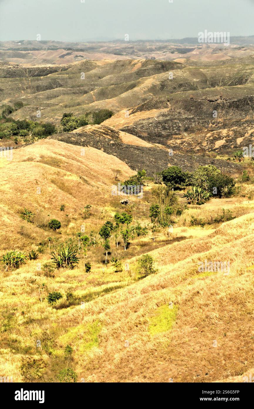 Dry grassland on hilly landscape during dry season in Sumba Island, an ...