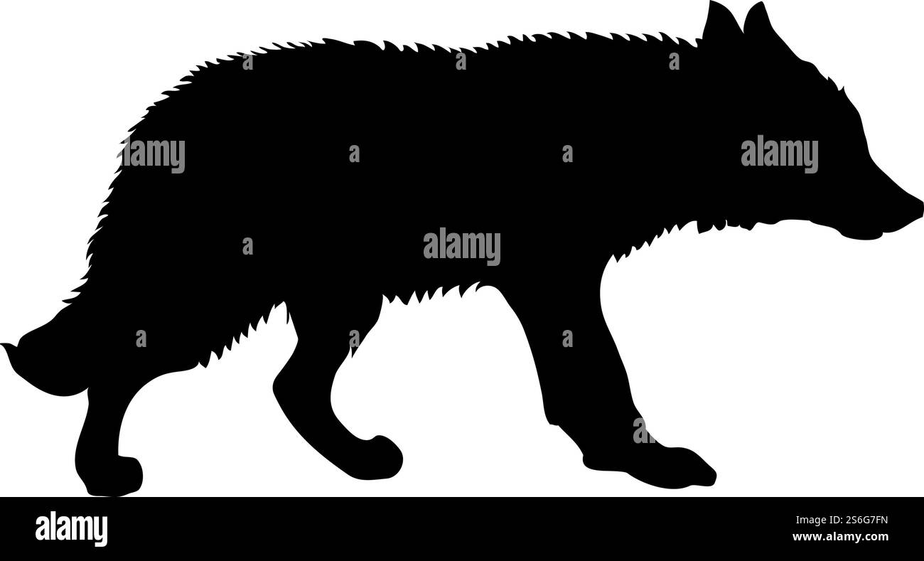Jackal silhouette. Smooth and clean lines. High detailed Jackal silhouette. Vector Illustration ...