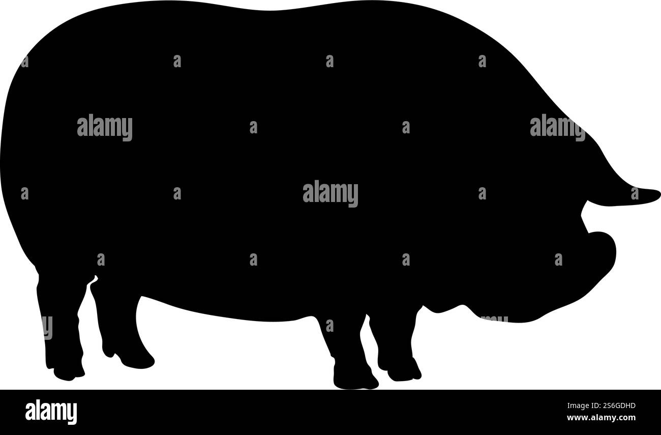 Yorkshire pig silhouette. Smooth and clean lines. High detailed ...