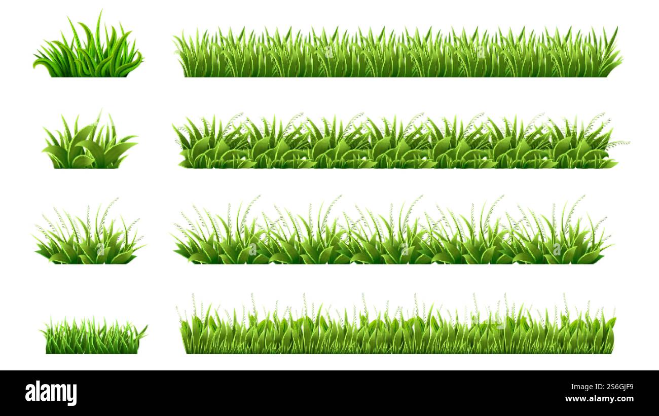 Green grass border. Landscaped lawns, meadows clipart. Isolated organic ...