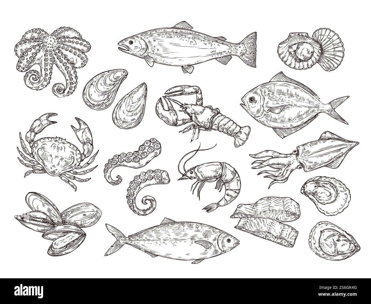 Seafood sketch. Vintage fish, drawing food. Delicious shrimp, shell ...
