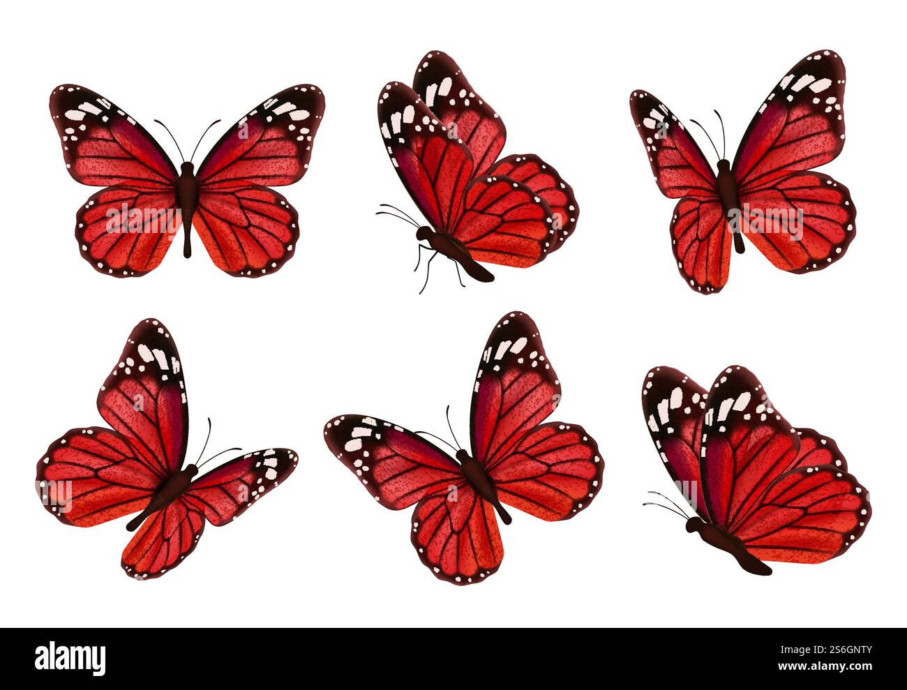 Butterflies. Realistic colored insects beautiful moth vector collection ...