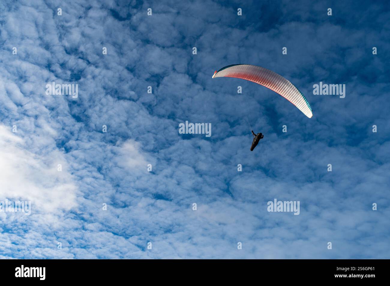 International Paragliding Festival. Extreme paraglider pilot flying ...