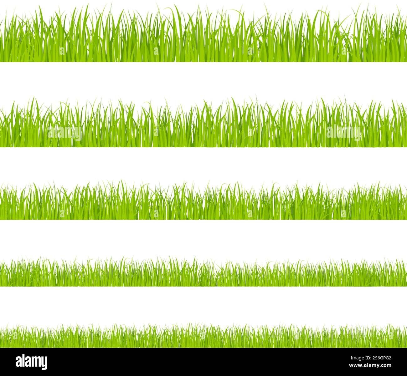 Green grass. Landscaped lawns, meadows border clipart. Isolated organic ...
