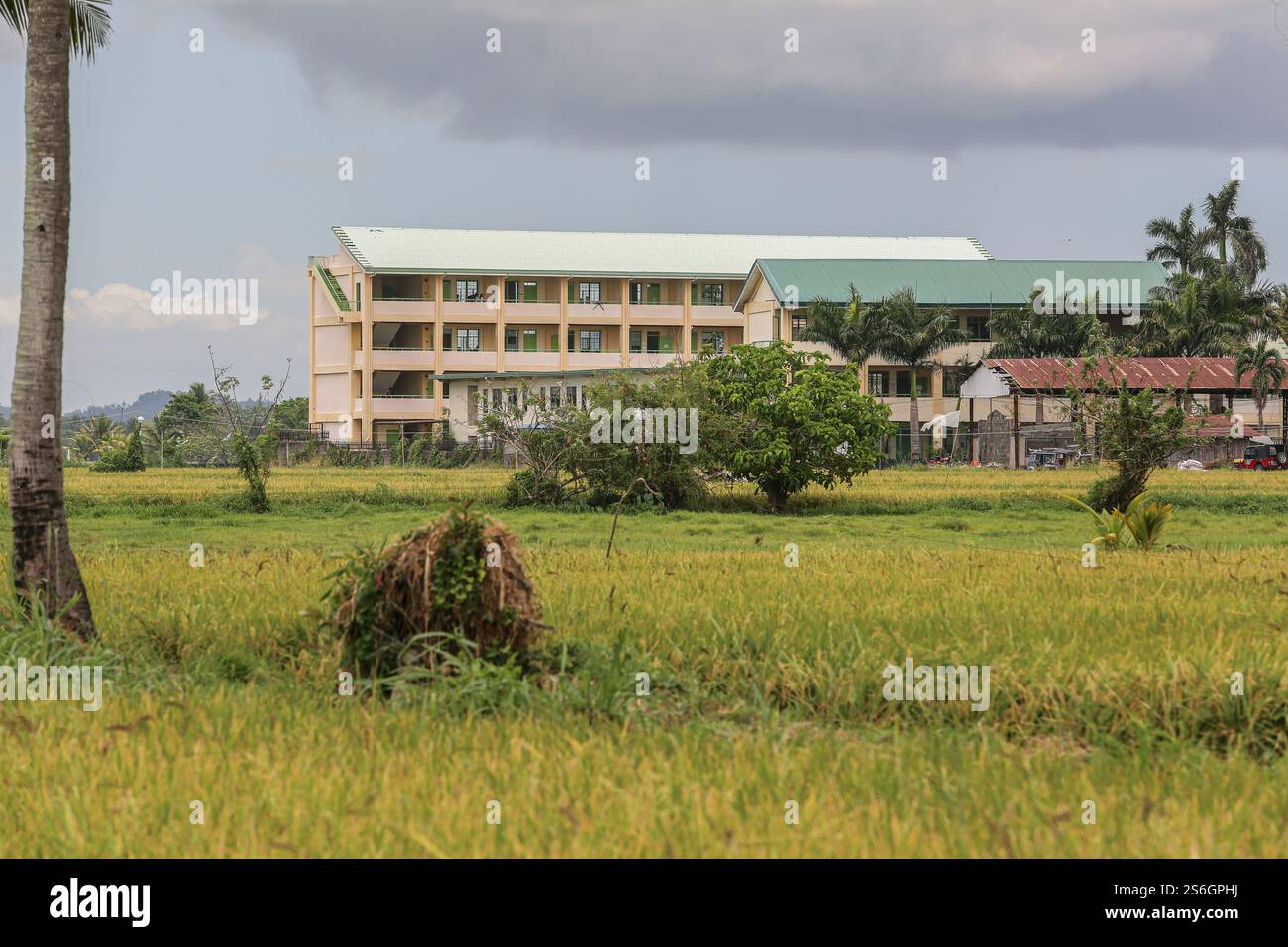 High School in the middle of rice fields, Laguna province, Philippines ...