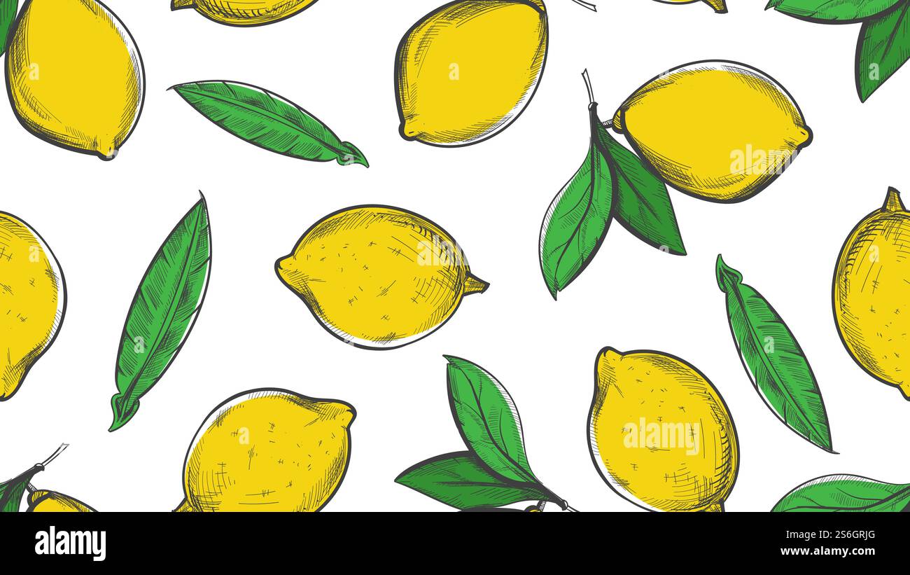 Citrus sketch pattern. Summer lemon background. Botanical vintage grunge citric seamless texture ...