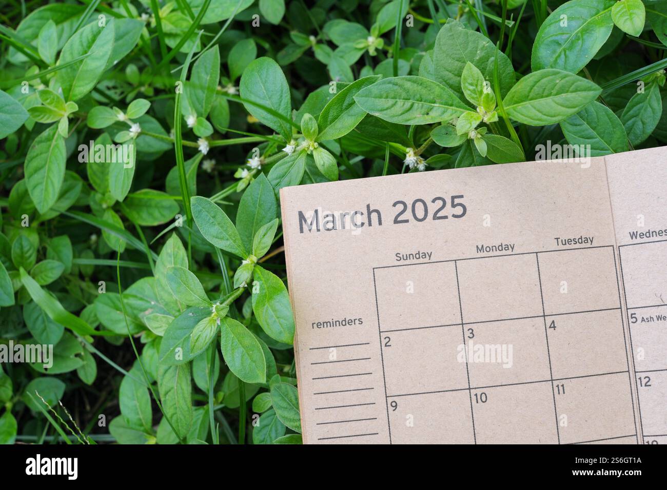 March 2025 calendar on lush green grass leaves background. Spring 2025 ...