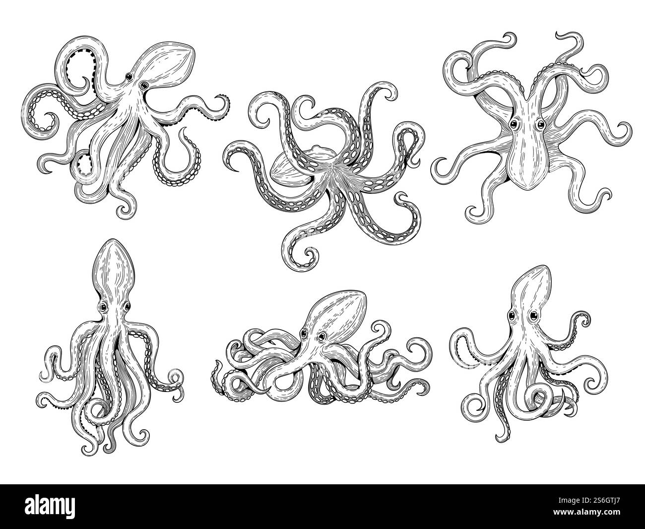 Octopus. Ocean fishes big underwater monster wild squid vector hand ...